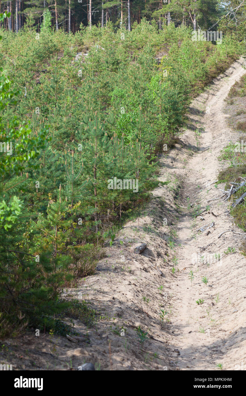 Fire trench hi-res stock photography and images - Alamy