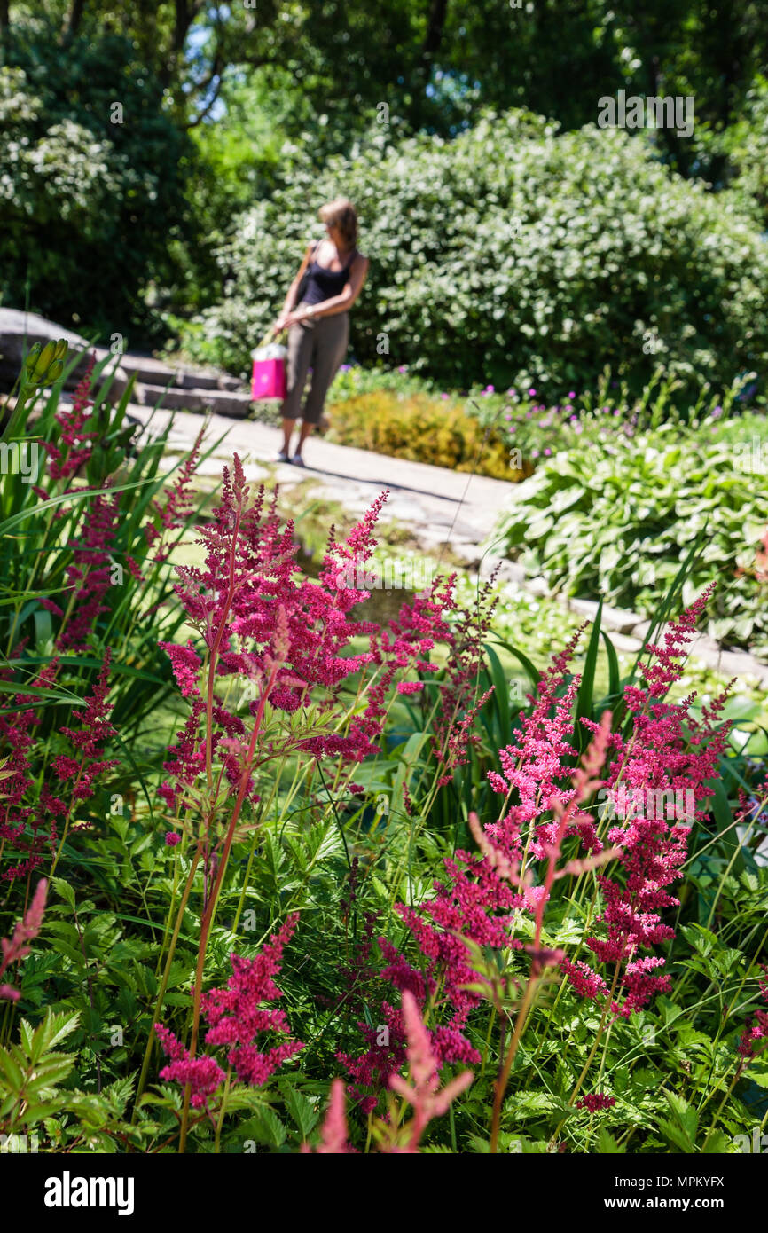 Quebec City Canada,Canadian,North America,American,Universite Laval ...