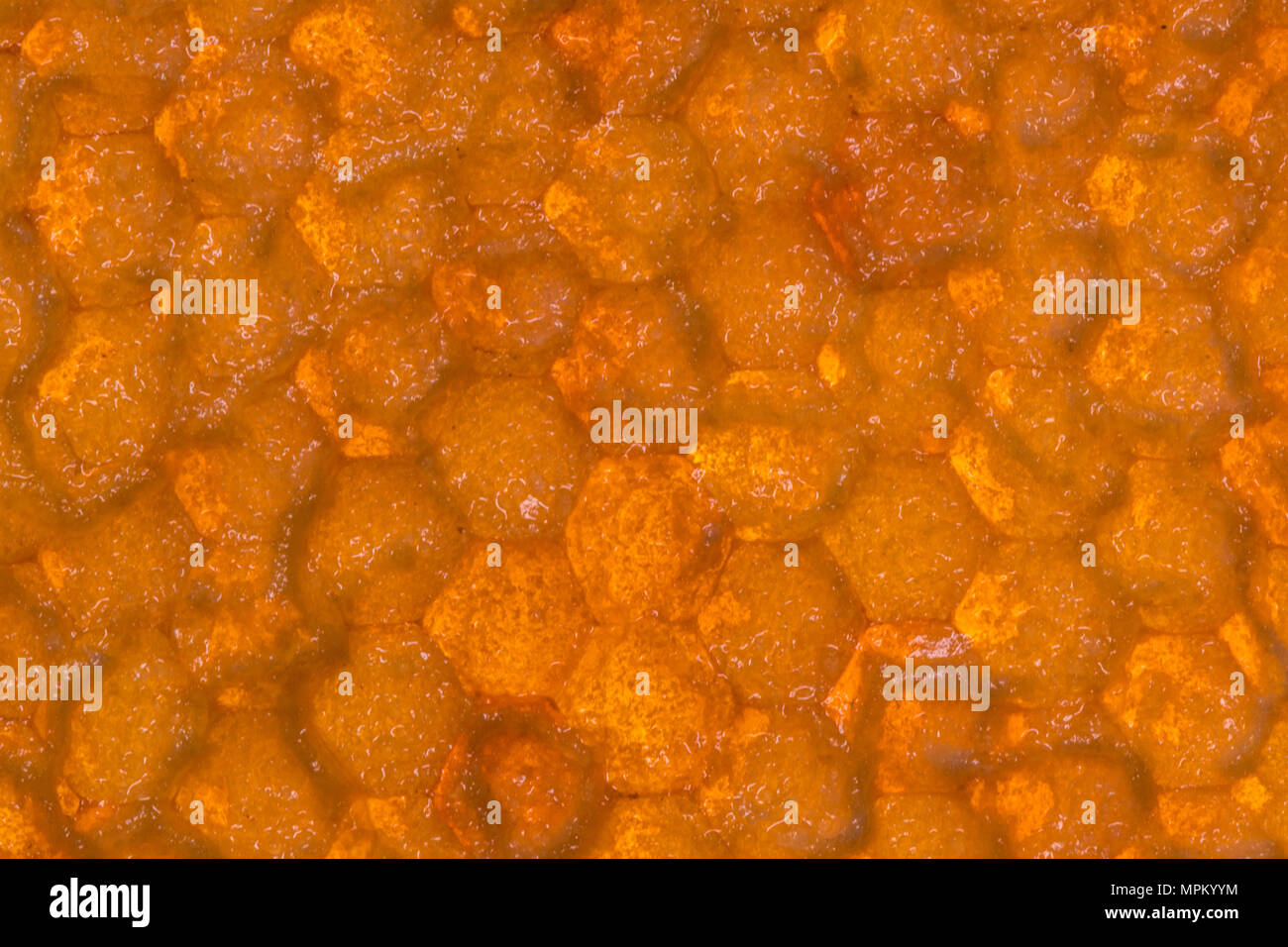 Honey Comb With Wax Cap Background Image Stock Photo - Alamy