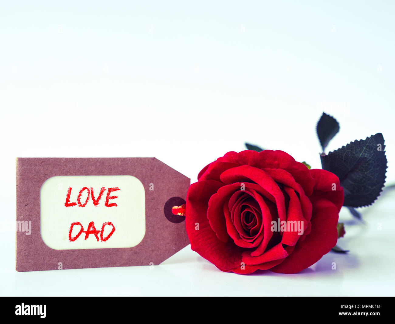Father's day concept. LOVE DAD message with red rose on white ...