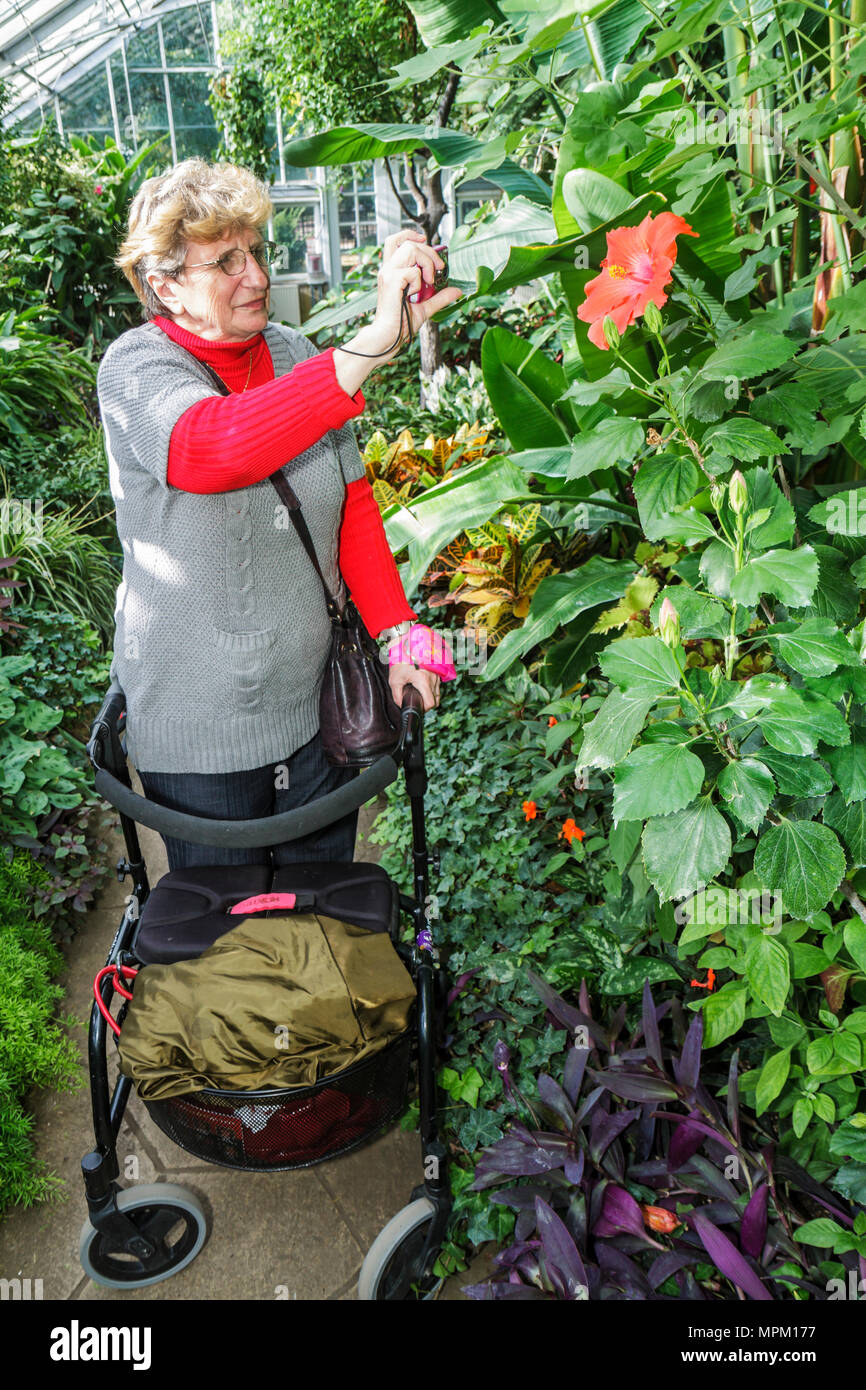 Toronto Canada,Allan Gardens Conservatory,botanical garden,vegetation ...