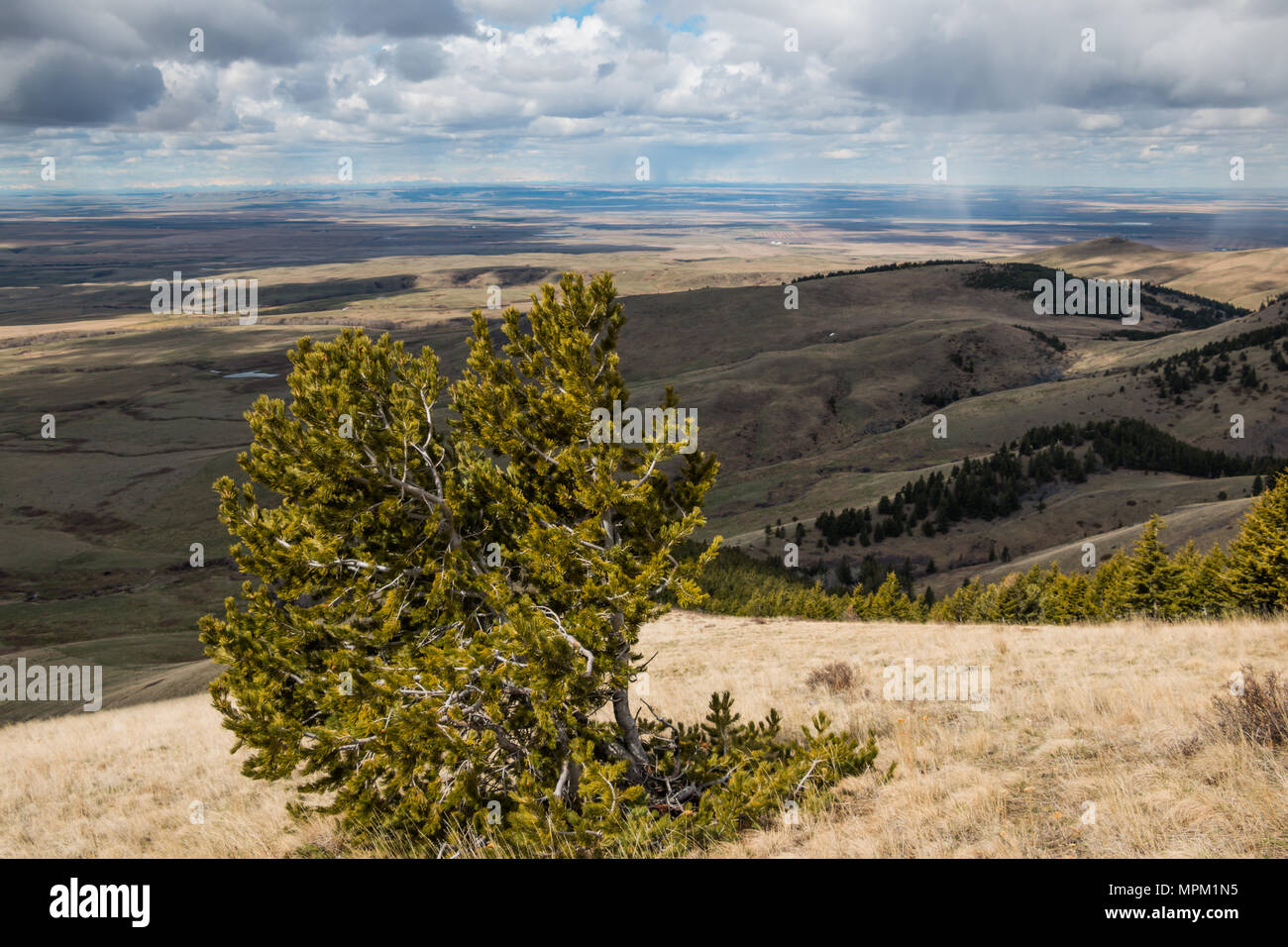 Sweetgrass hills montana hi-res stock photography and images - Alamy