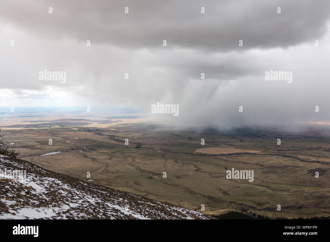 Spring rain hi-res stock photography and images - Alamy