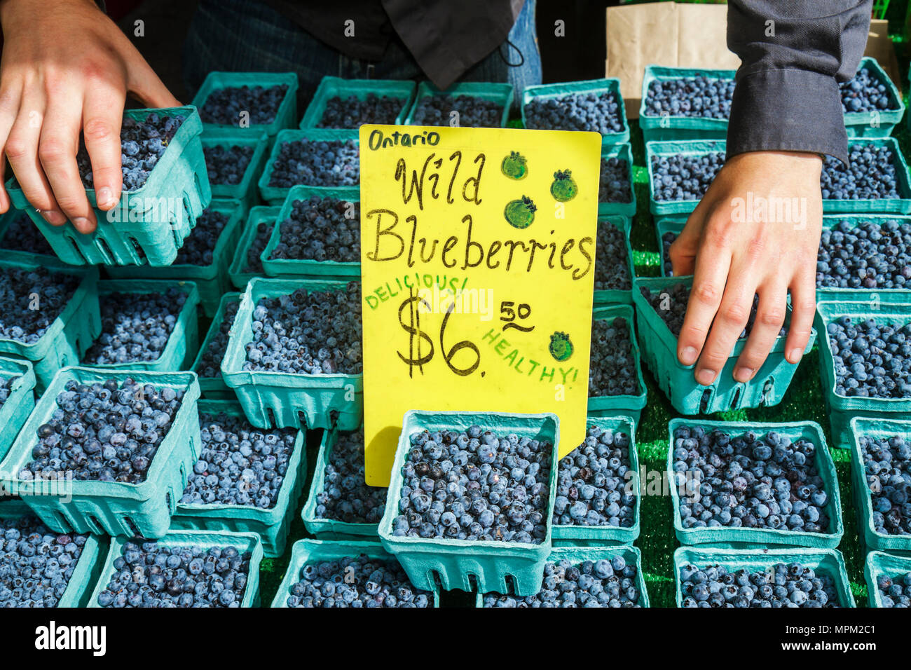 Fresh blueberries in retail packaging hi-res stock photography and ...
