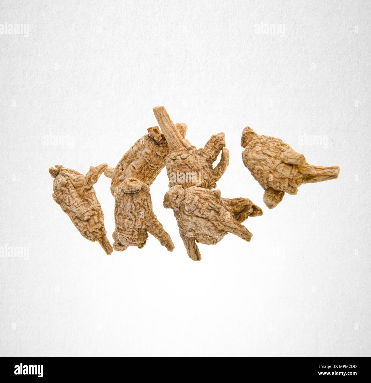 Prized plants hi-res stock photography and images - Alamy