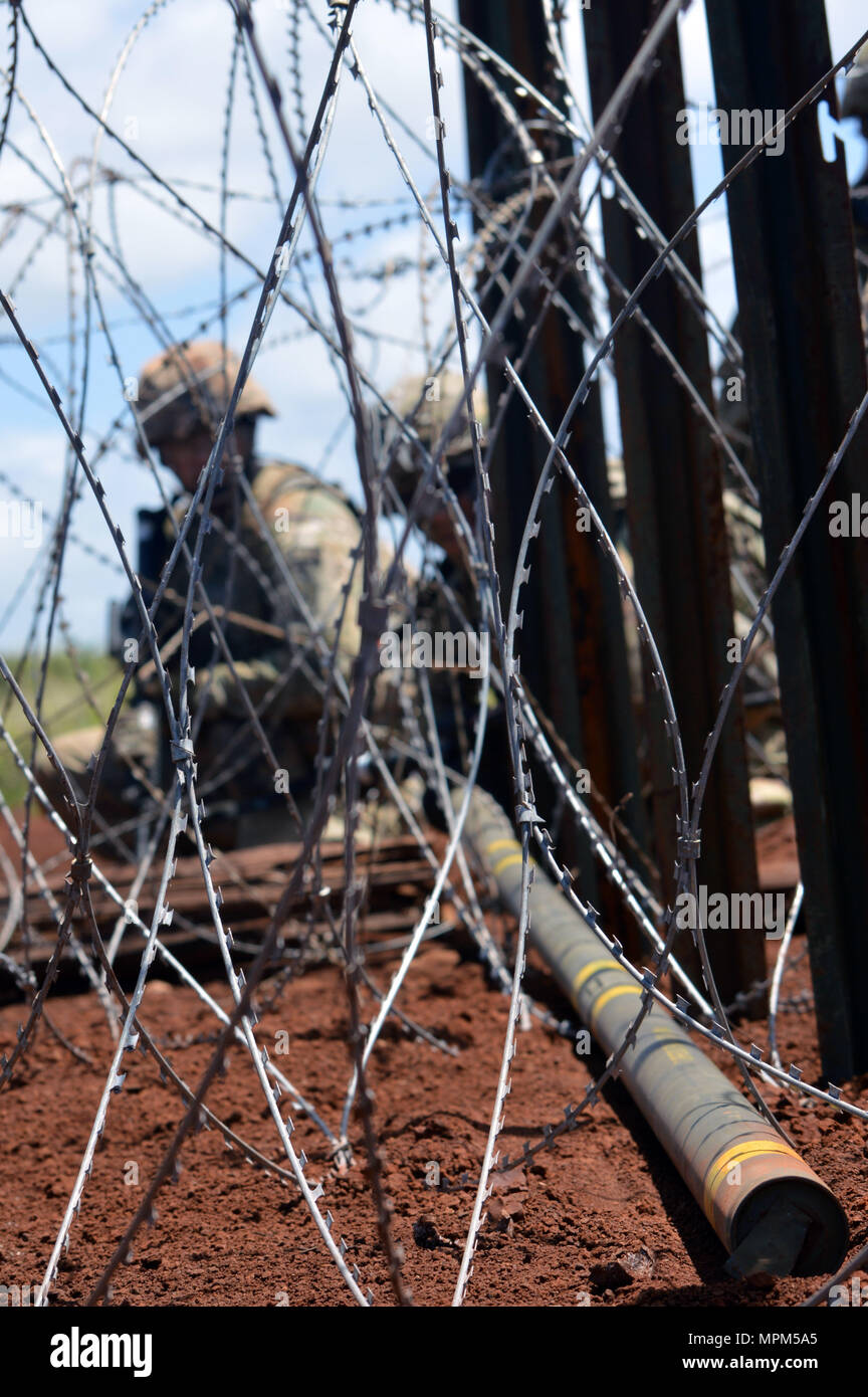 Combat engineers assigned to the 29th Brigade Engineer Battalion, 3rd ...