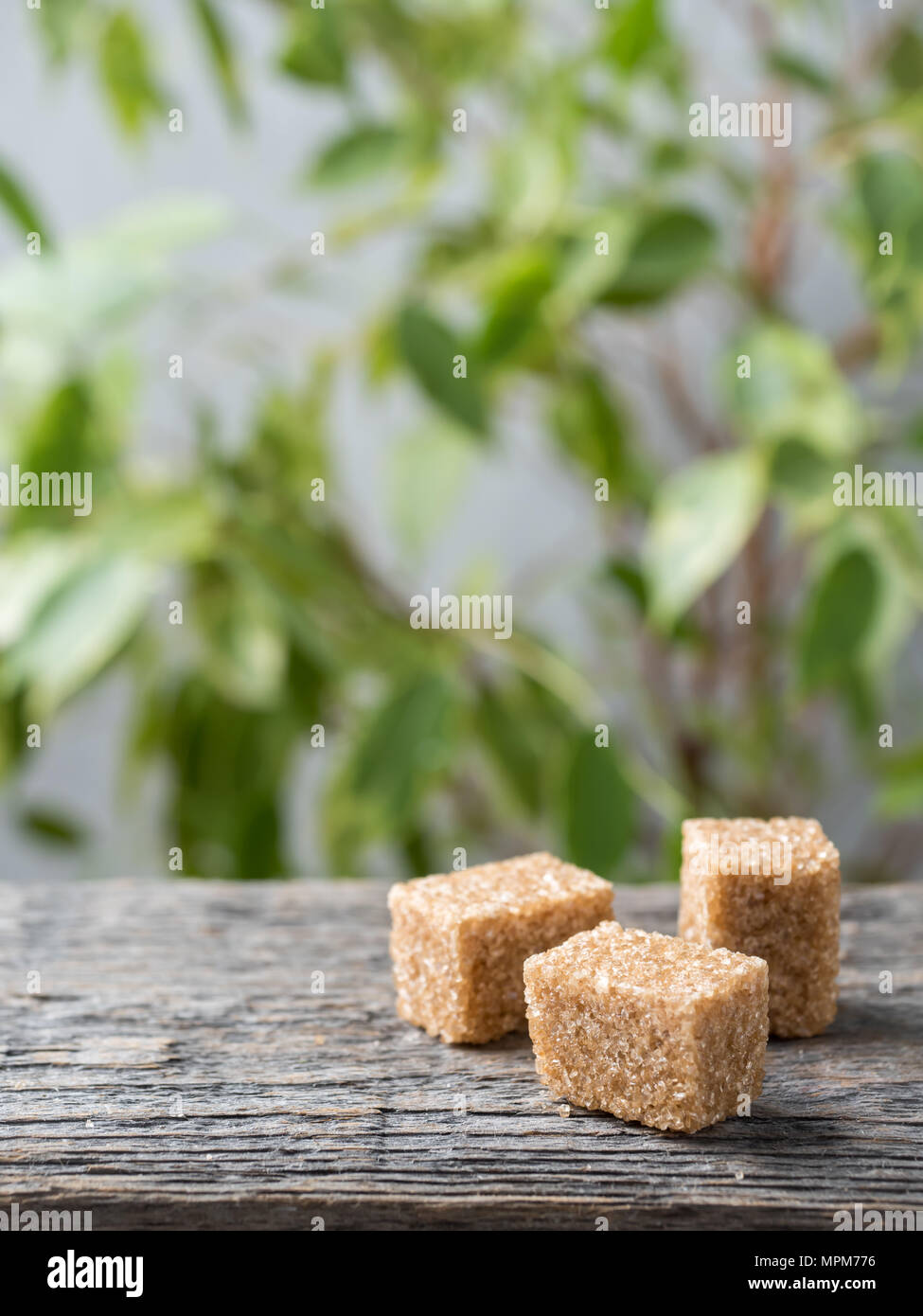 Brown cane sugar on wooden background. Green tree with leaves Stock ...