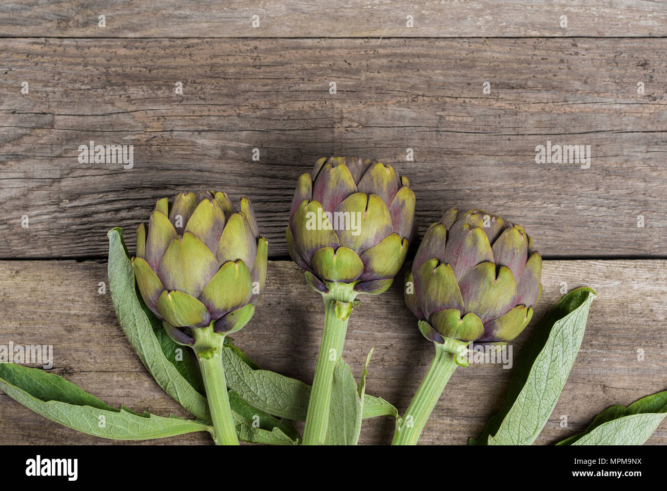 Artichoke vegetable natural look on wooden floor Stock Photo - Alamy