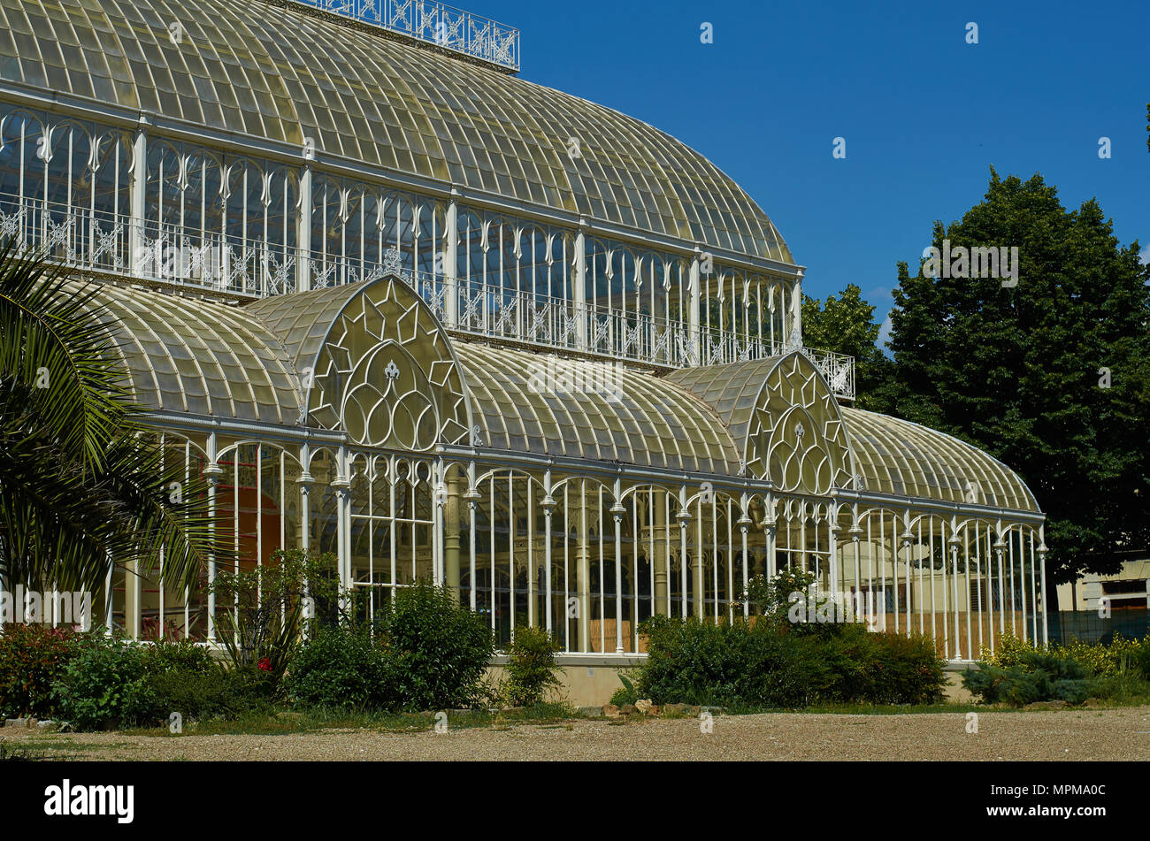 Greenhouse, Horticultural Garden of Florence, Italy Stock Photo - Alamy
