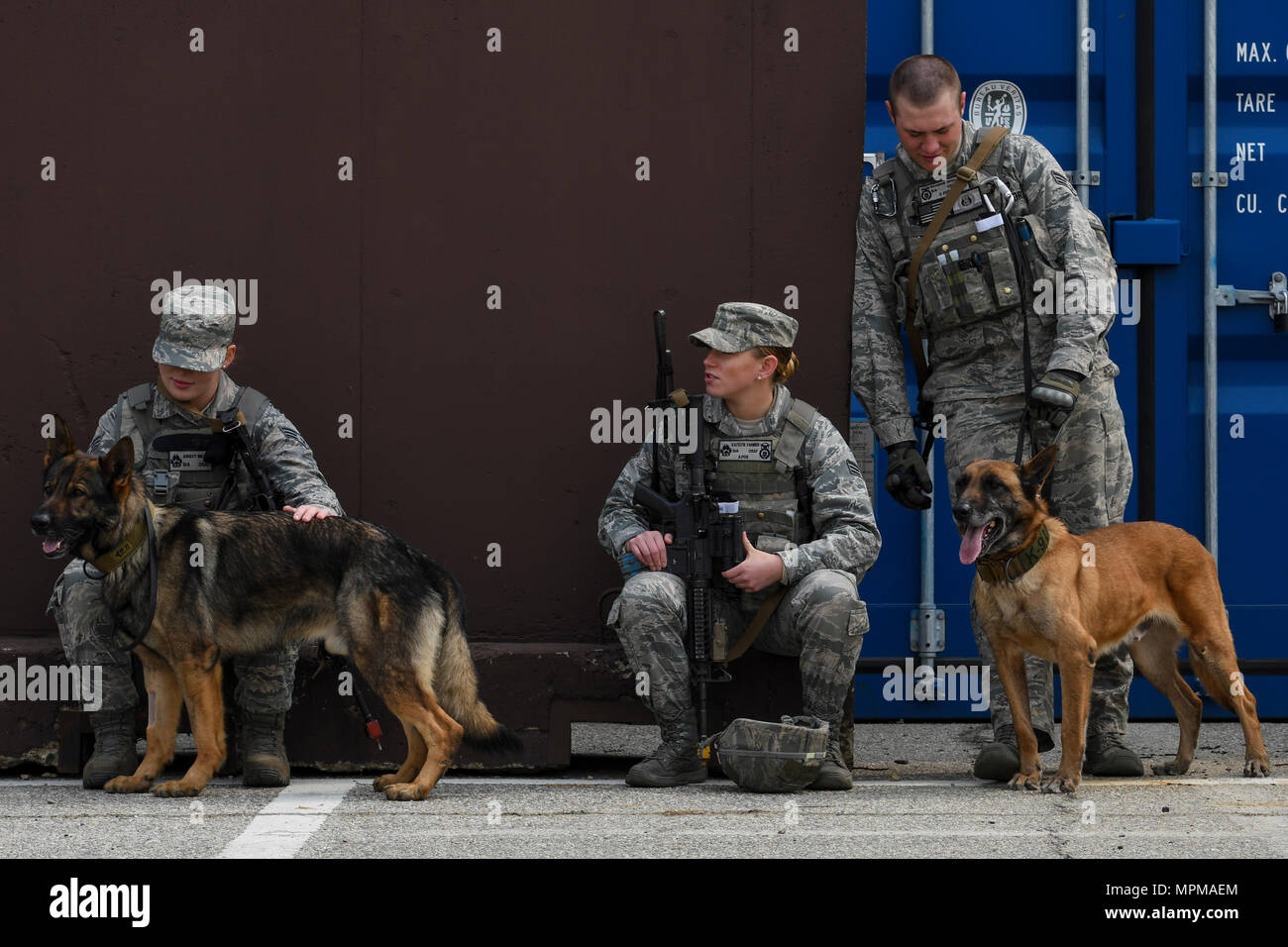 Military working dog handlers from the 51st Security Forces Squadron ...