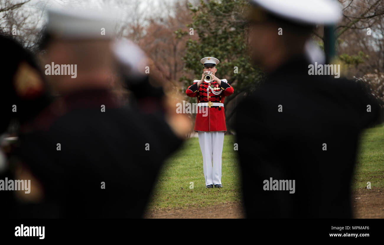 A member of The President's Own performs taps at the funeral of Pvt ...