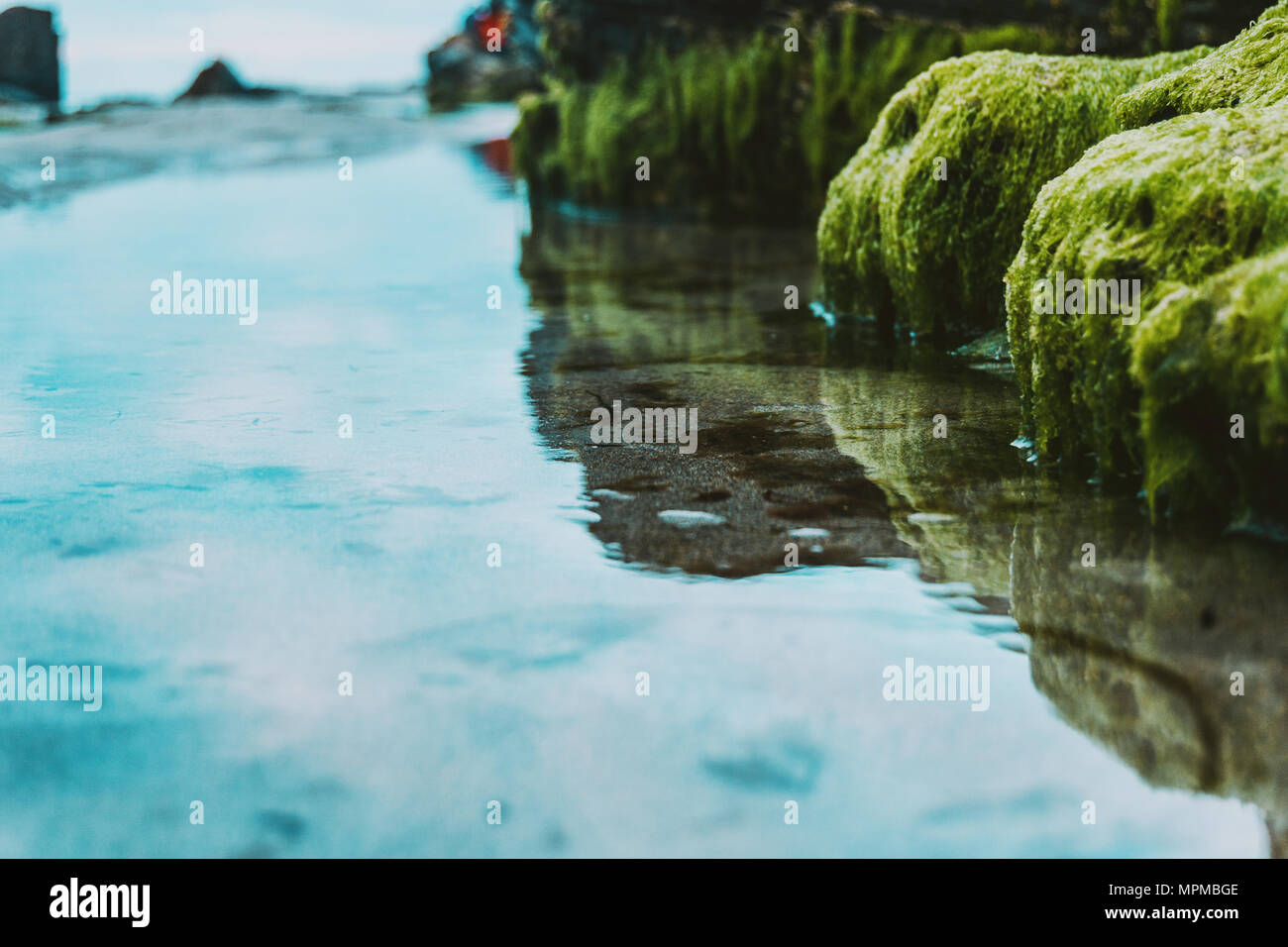 puddle with reflection of stones with seaweed on the beach Stock Photo ...