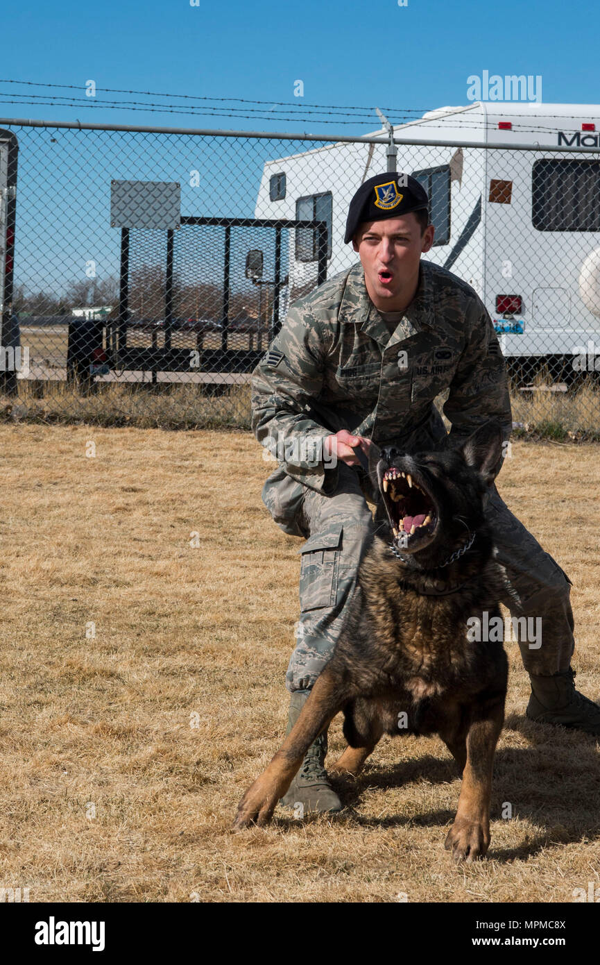 Oli base hi-res stock photography and images - Alamy