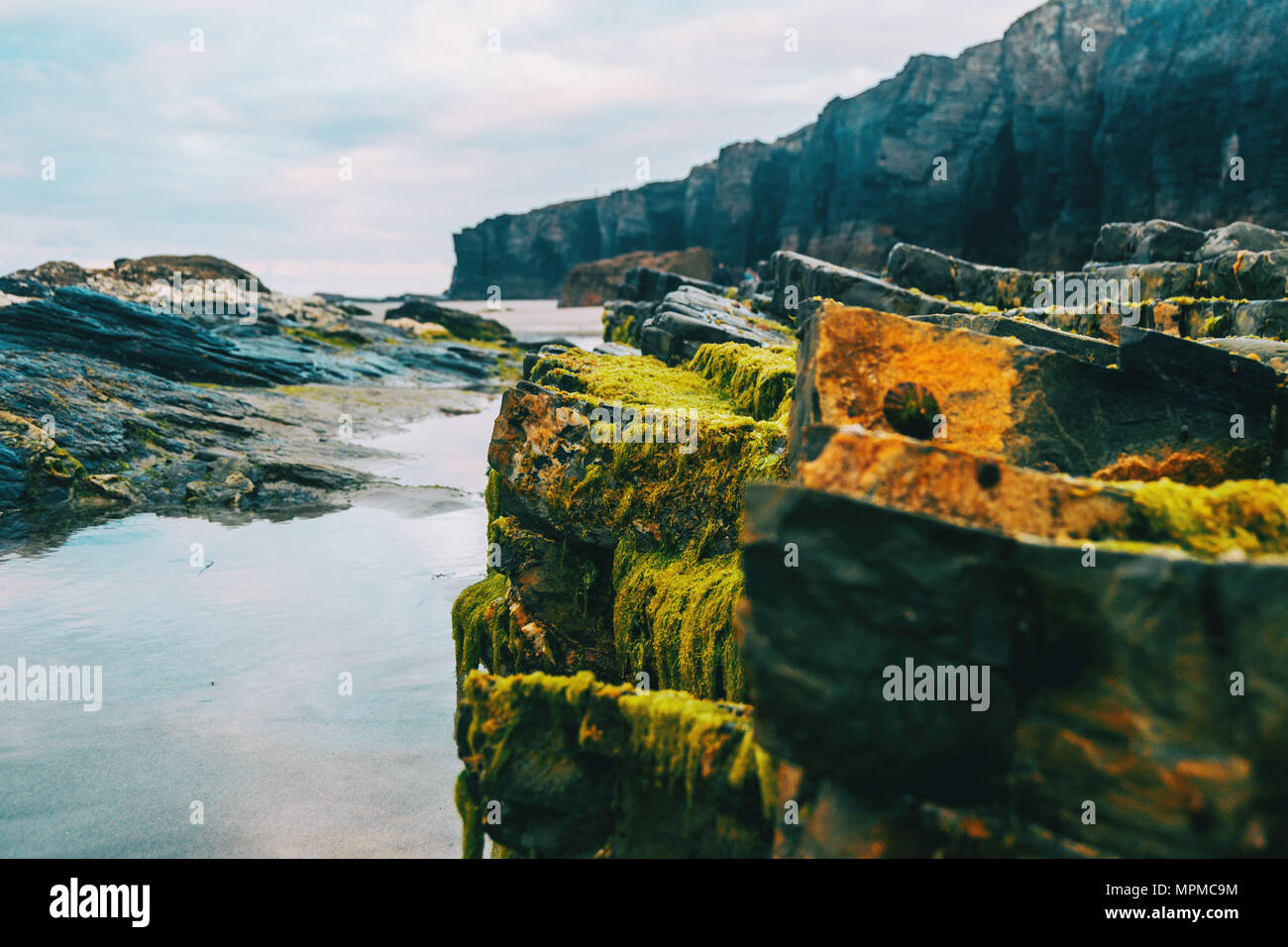 puddle with reflection of stones with seaweed on the beach Stock Photo ...