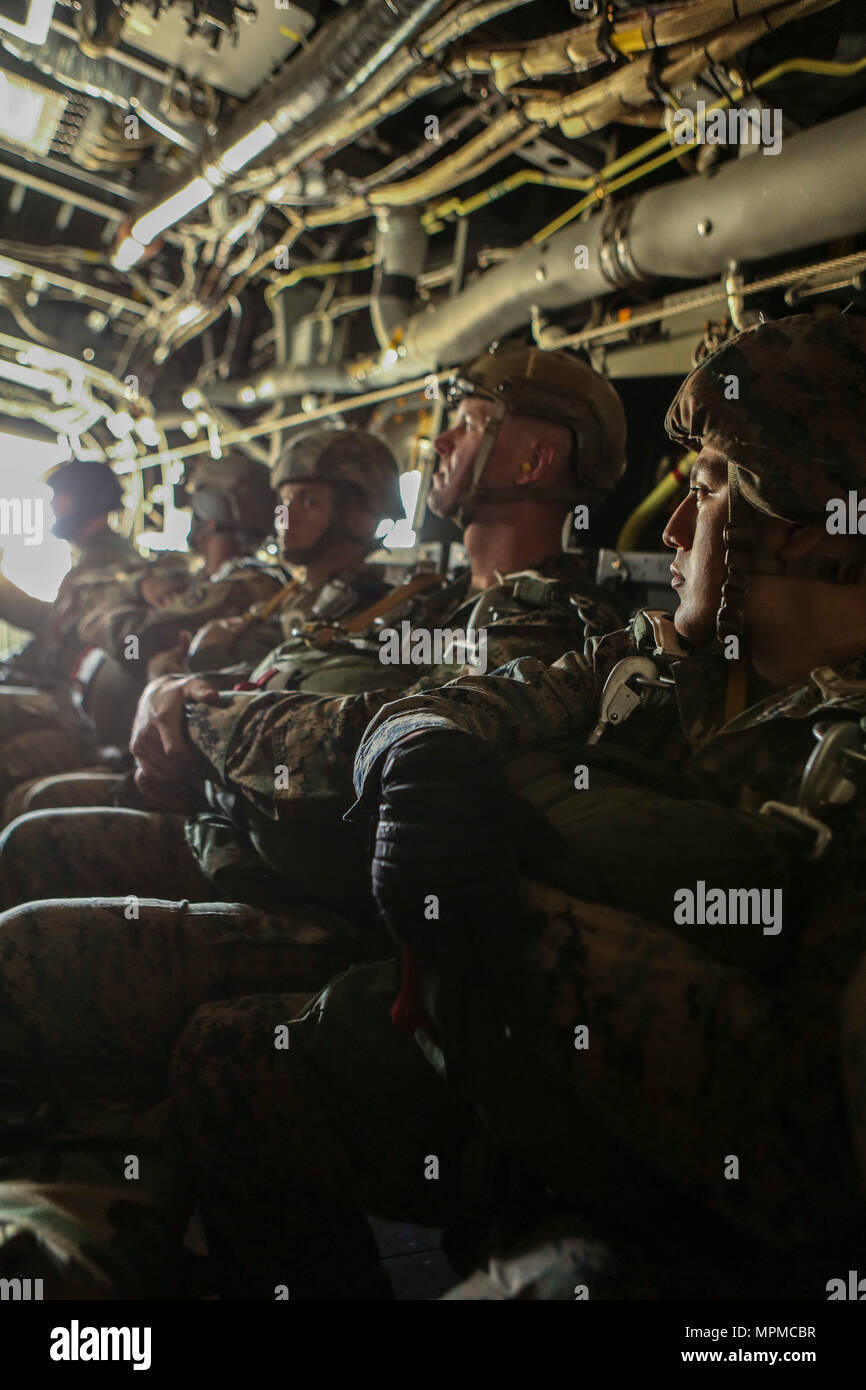 U.S. Marines with 2nd Transportation Support Battalion (TSB), Combat ...