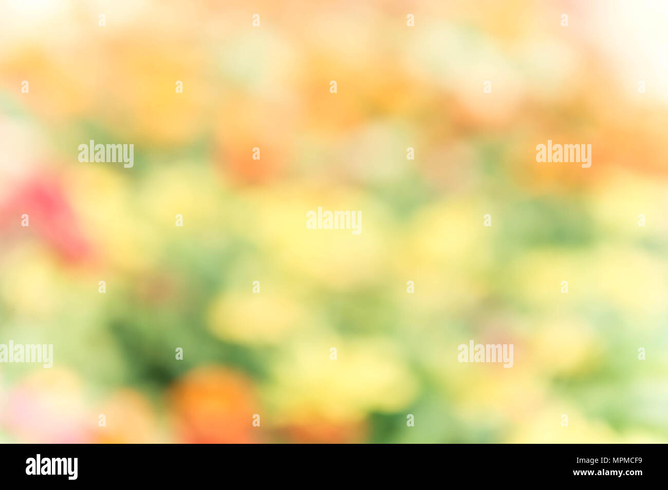abstract colorful mix nature blur background Stock Photo - Alamy