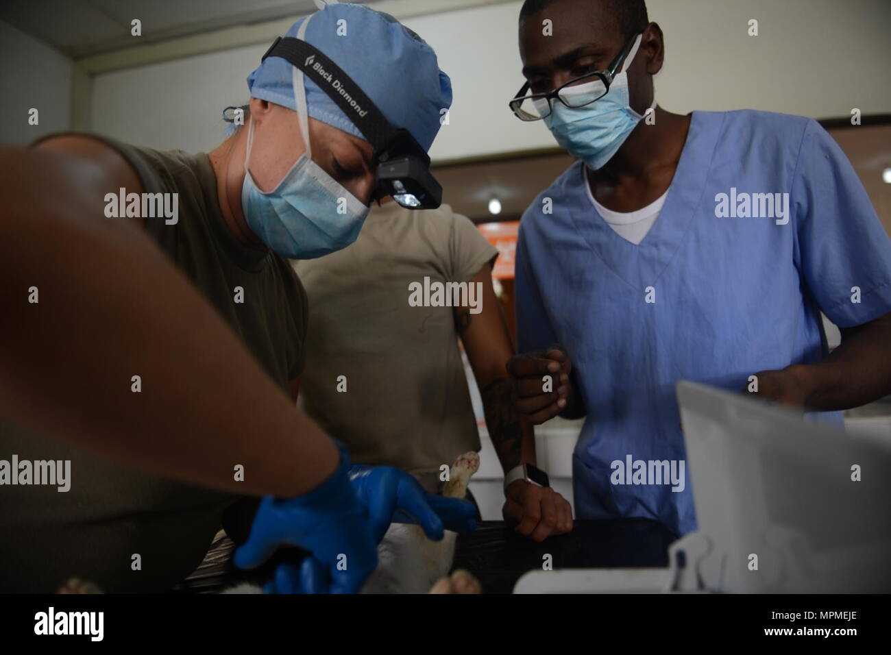 Army Capt. Amanda Jeffries, a native of Raleigh, N.C., assigned to ...