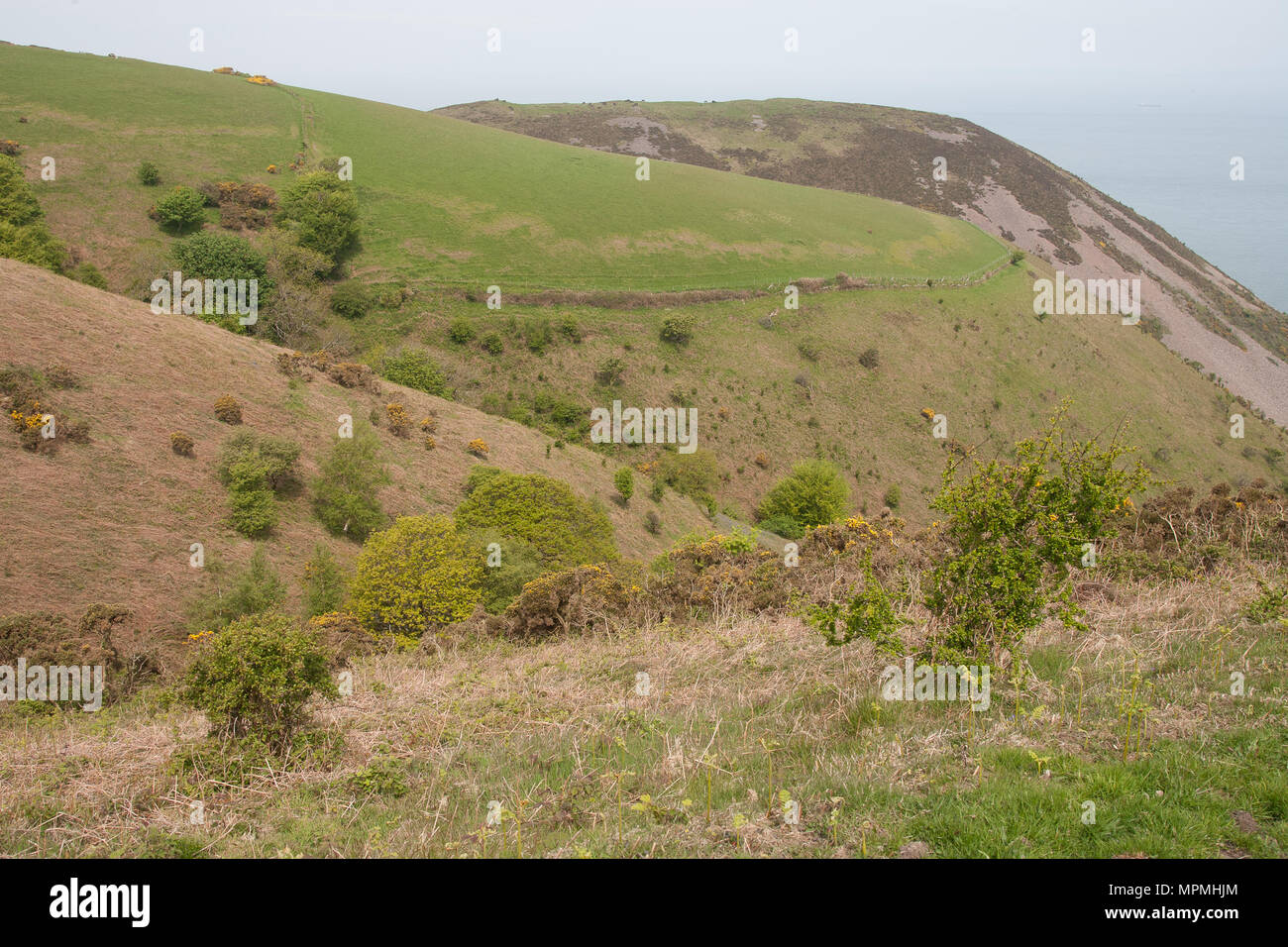 Foreland Point Lynton Exmoor Devon England UK Europe Stock Photo - Alamy