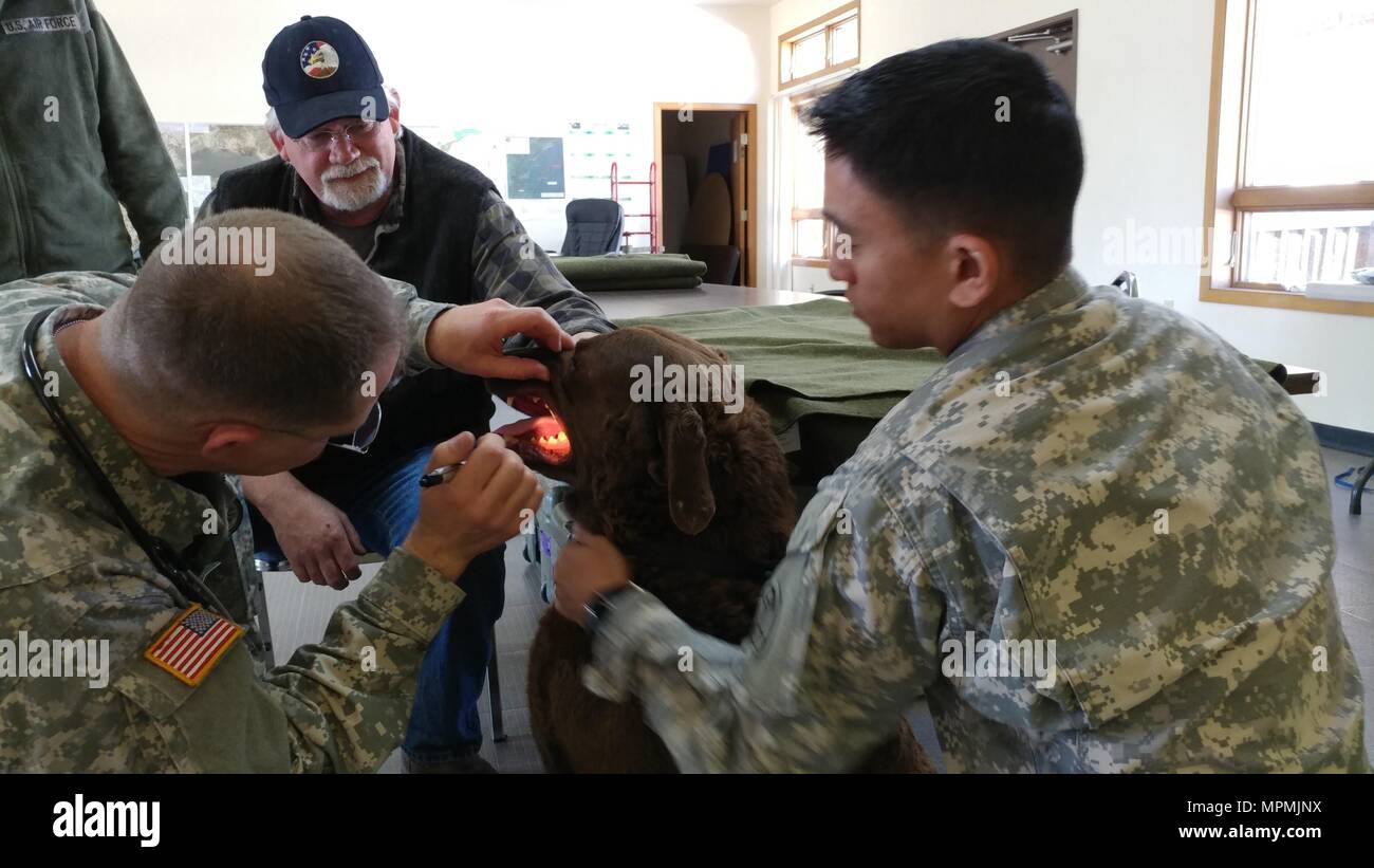 149th medical detachment hi-res stock photography and images - Alamy