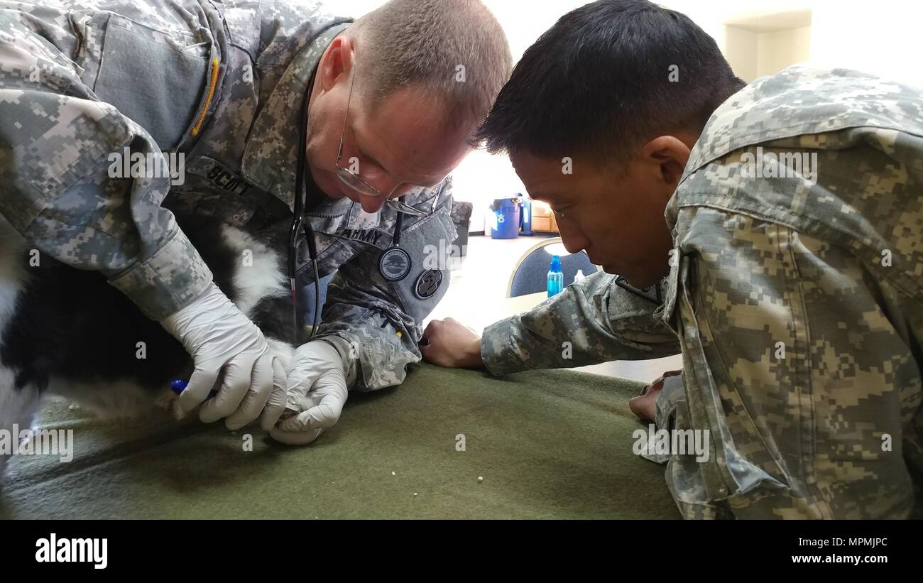 149th medical detachment hi-res stock photography and images - Alamy