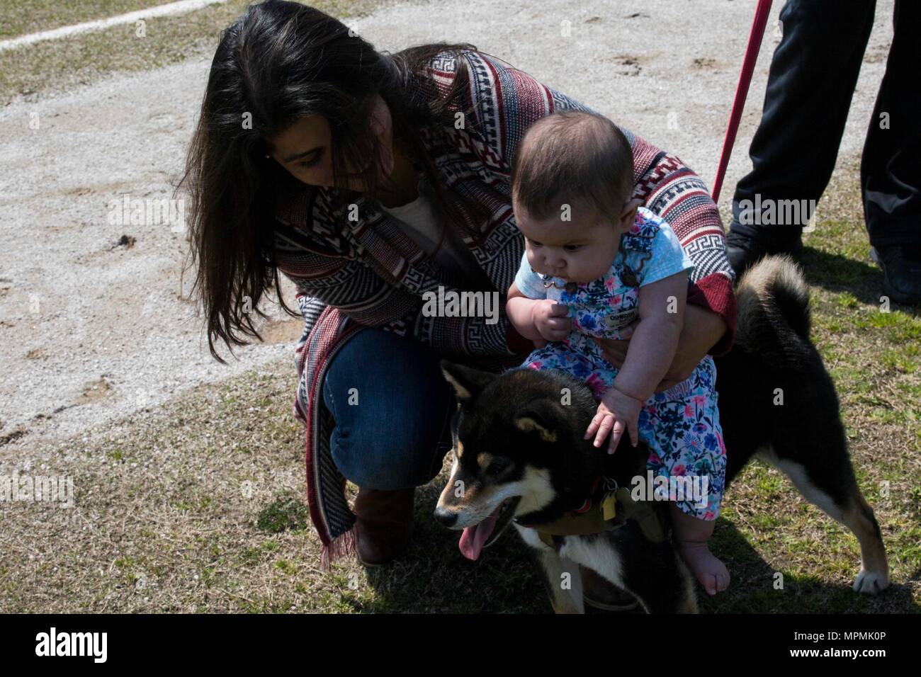 Dog relief station hi-res stock photography and images - Alamy