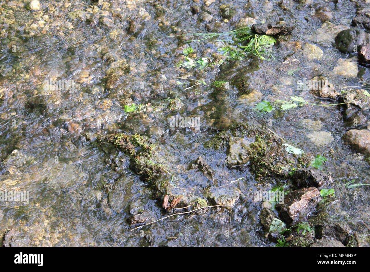 Running creek and brook water feature and natural springtime scenery at ...