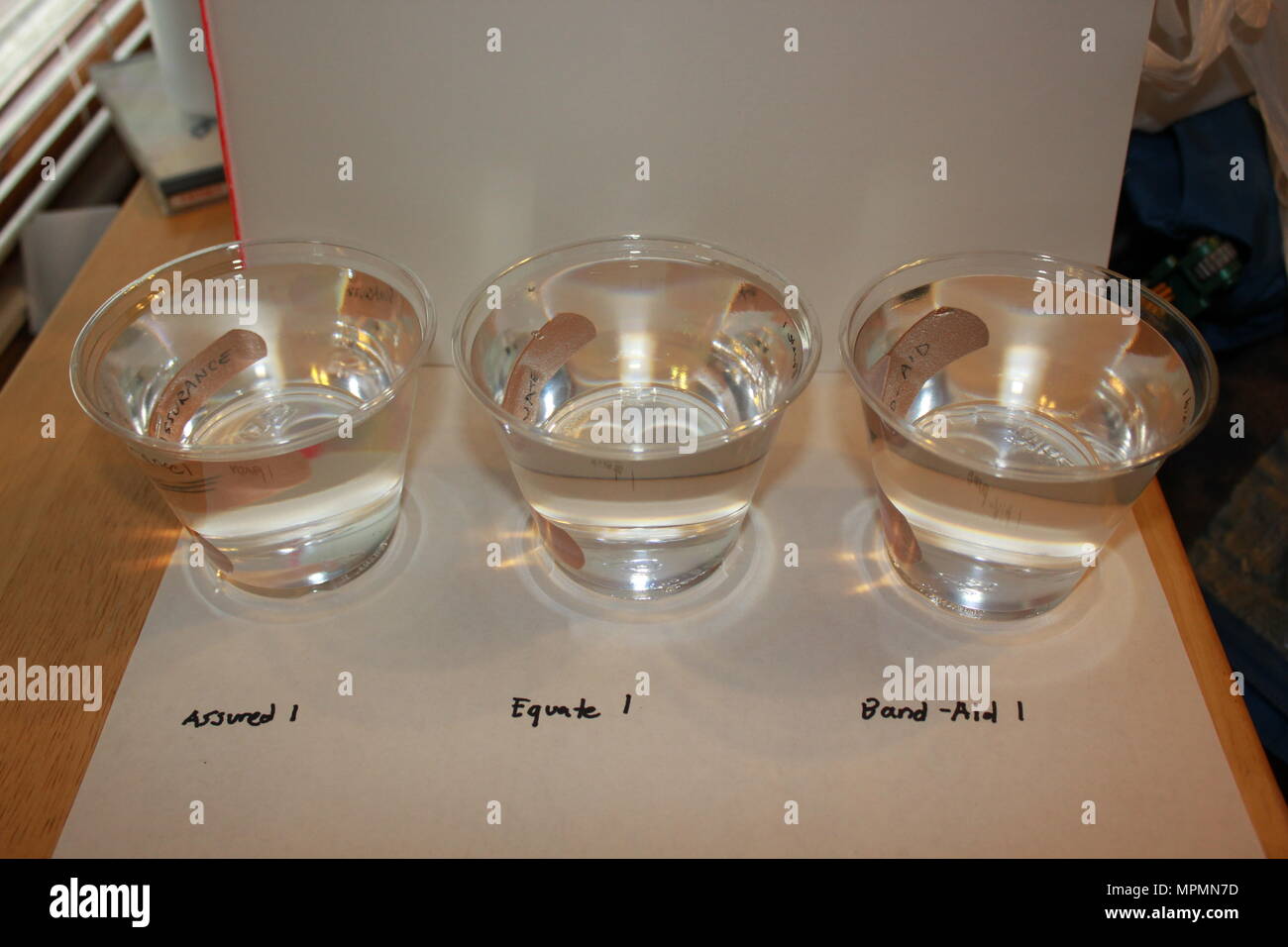 Fifth grade school science experiment exploring the adhesive qualities ...