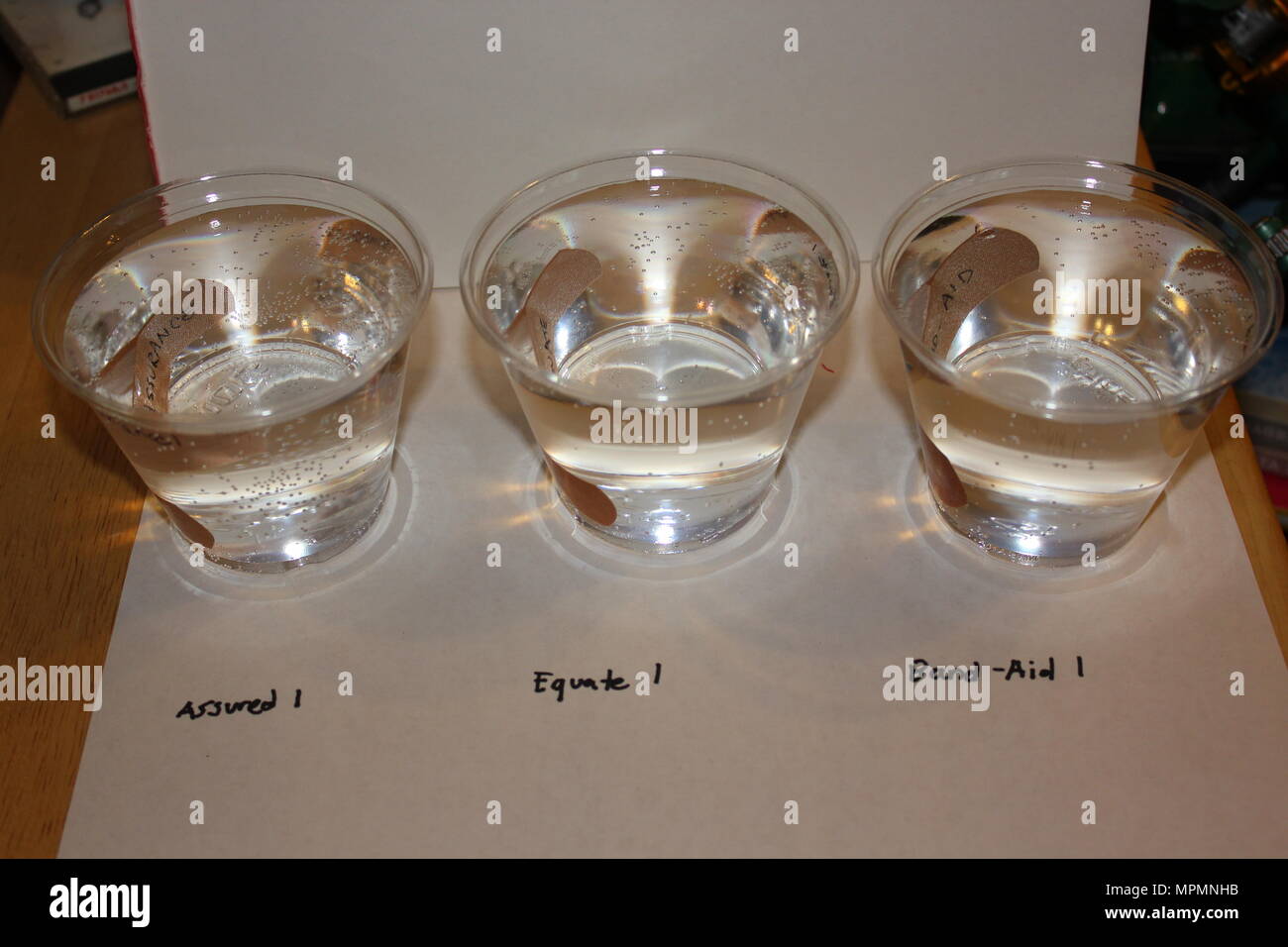 Fifth grade school science experiment exploring the adhesion qualities ...