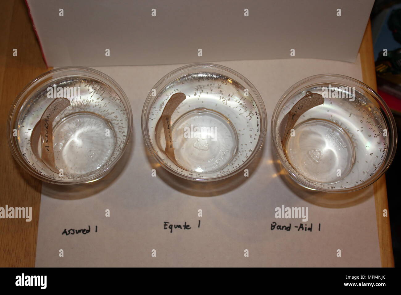 Fifth grade school science experiment exploring the adhesion qualities ...