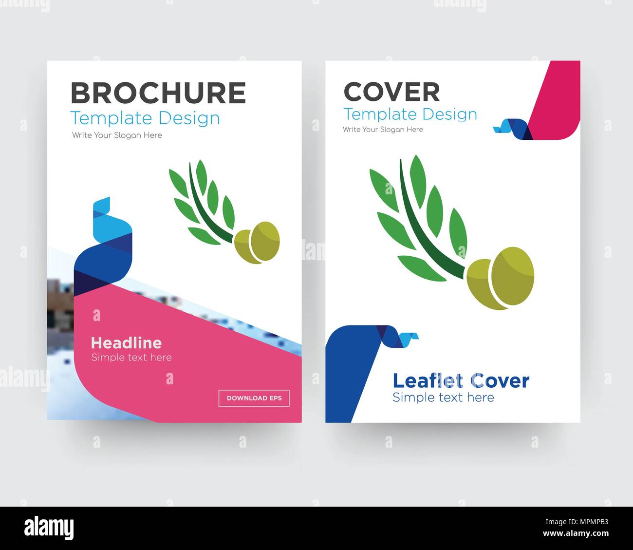 olive leaves brochure flyer design template with abstract photo ...