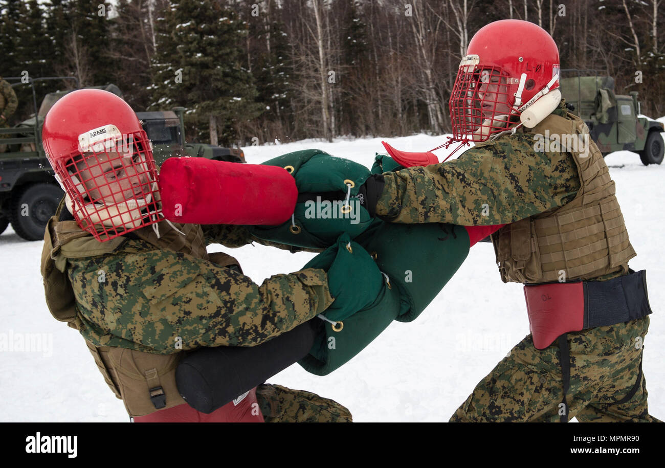 U.S. Marines assigned to Detachment Delta, 4th Law Enforcement ...