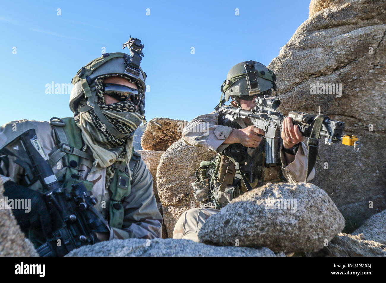 11th Armored Cavalry Regiment Acr 11 Acr High Resolution Stock ...