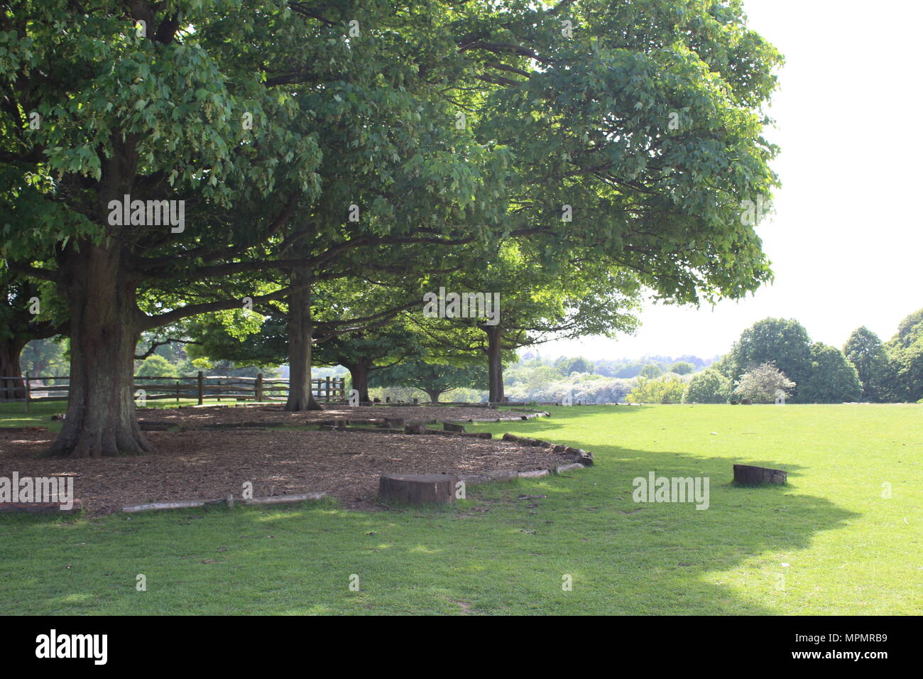 weald of Kent through the trees Stock Photo - Alamy