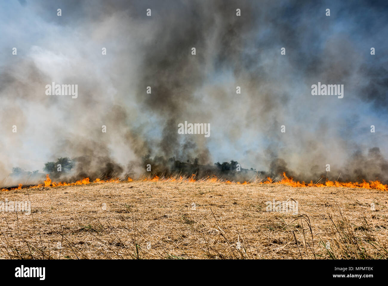 Burning agricultural field, smoke pollution. Image of global and their ...