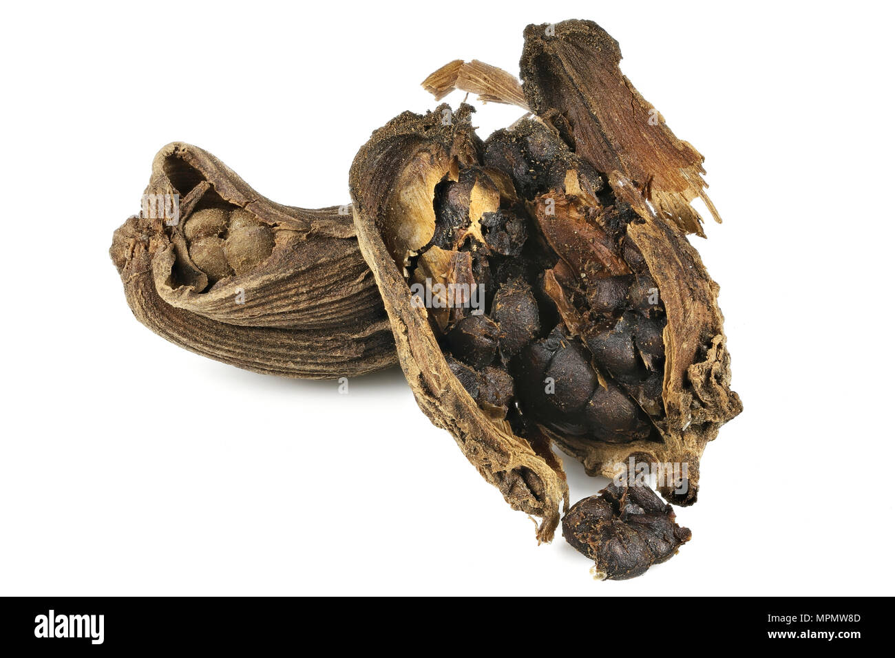 black cardamom isolated on white background Stock Photo - Alamy