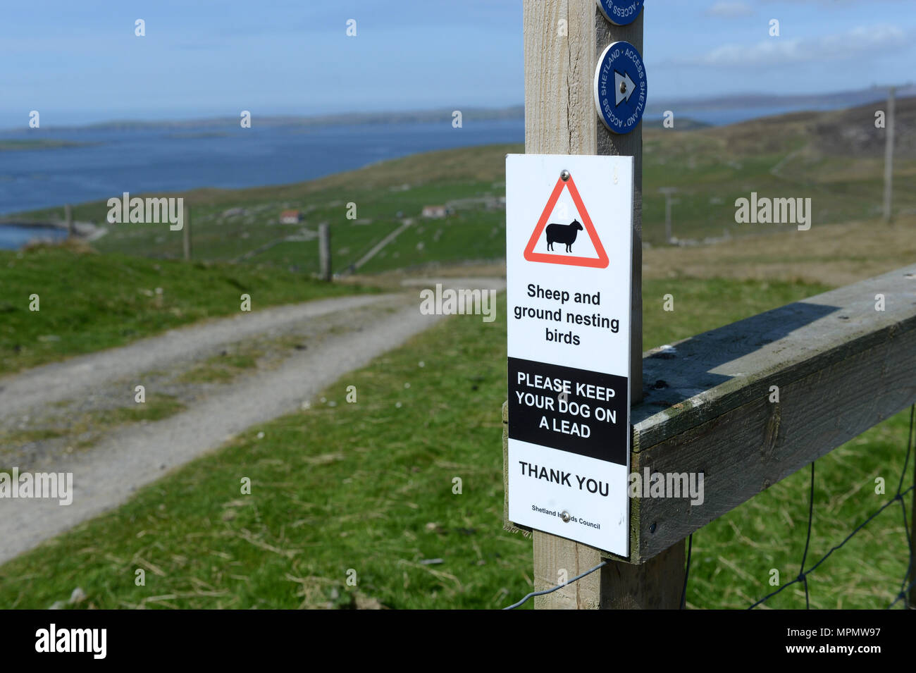 Ground nesting birds hi-res stock photography and images - Alamy