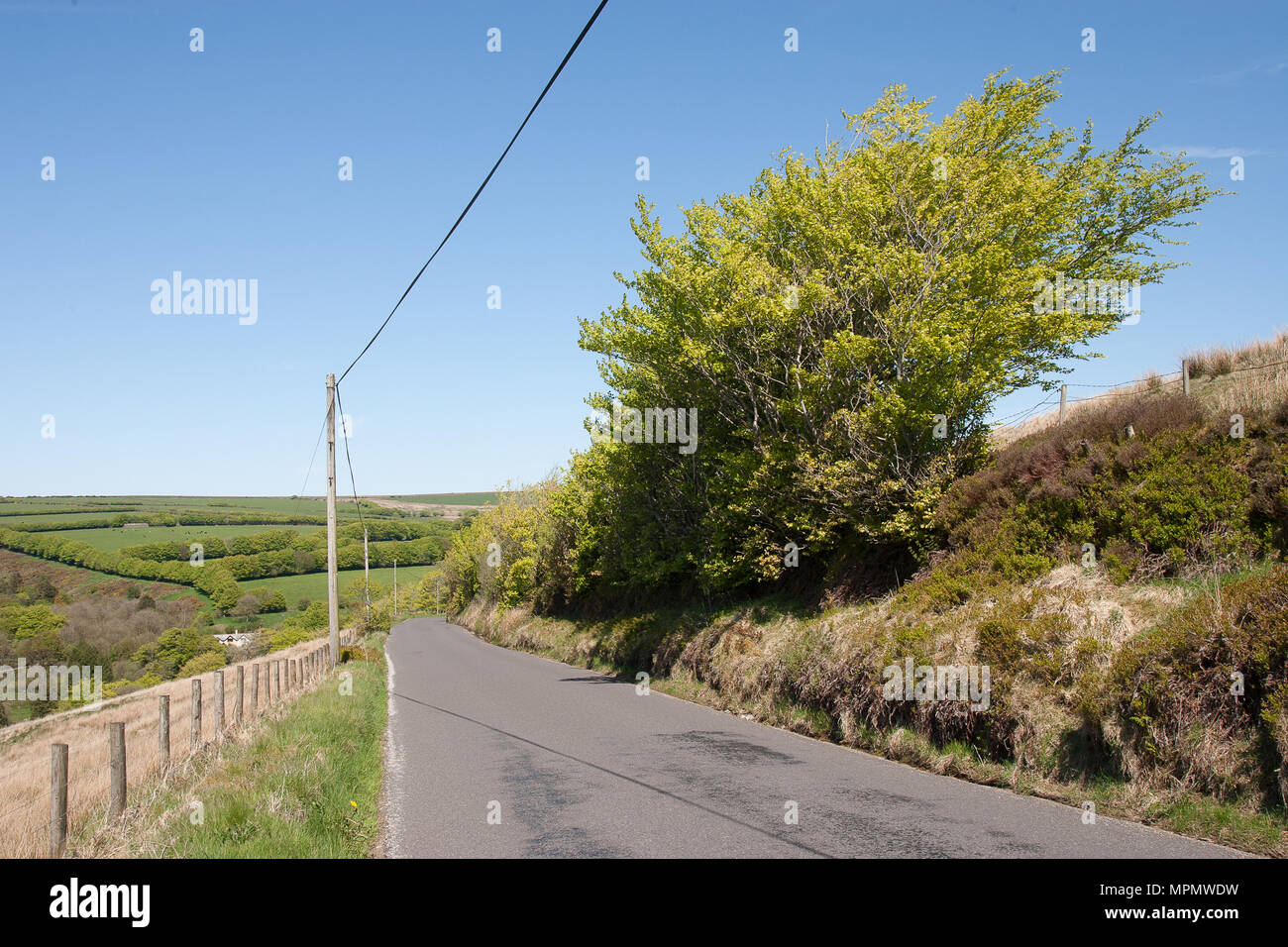 Simonsbath road hi-res stock photography and images - Alamy