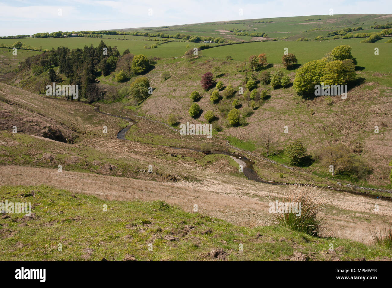 Simonsbath Exmoor Somerset England UK Europe Stock Photo - Alamy