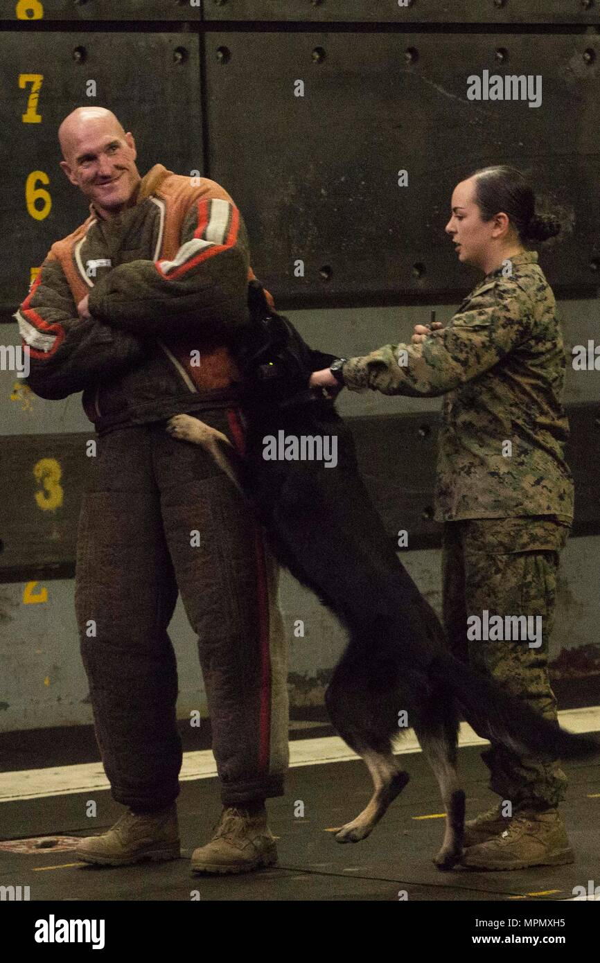 William pinkerton hi-res stock photography and images - Alamy