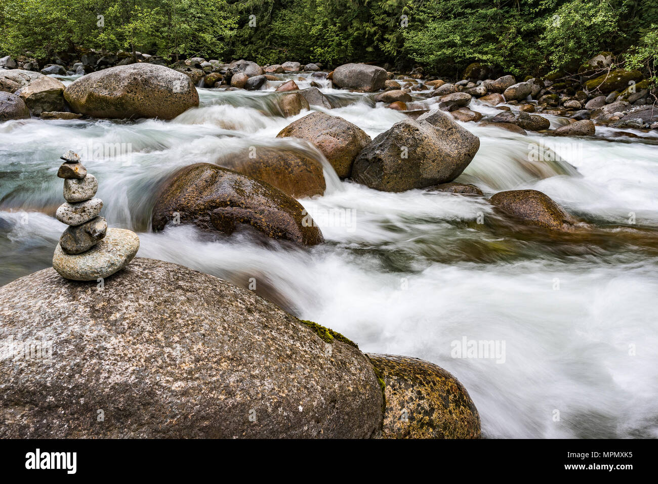Lynn headwaters regional park hi-res stock photography and images - Alamy