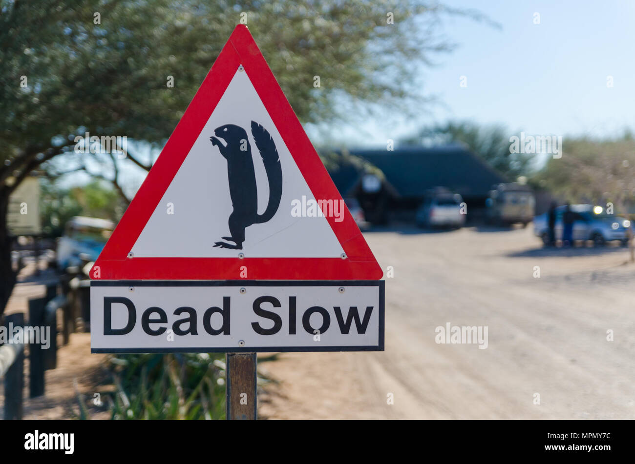 Dead Slow sign with meerkat at dusty desert town Solitaire Stock Photo ...