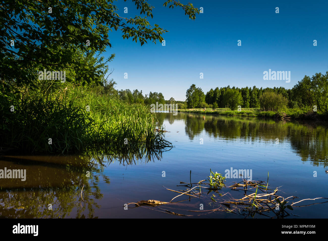 River in the spring sun Stock Photo - Alamy