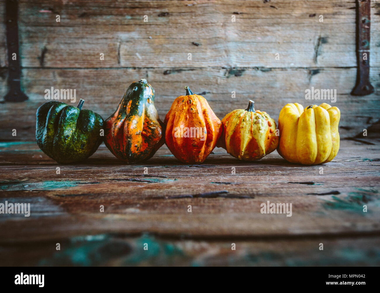 Row of five Ornamental pumpkins on wood Stock Photo - Alamy
