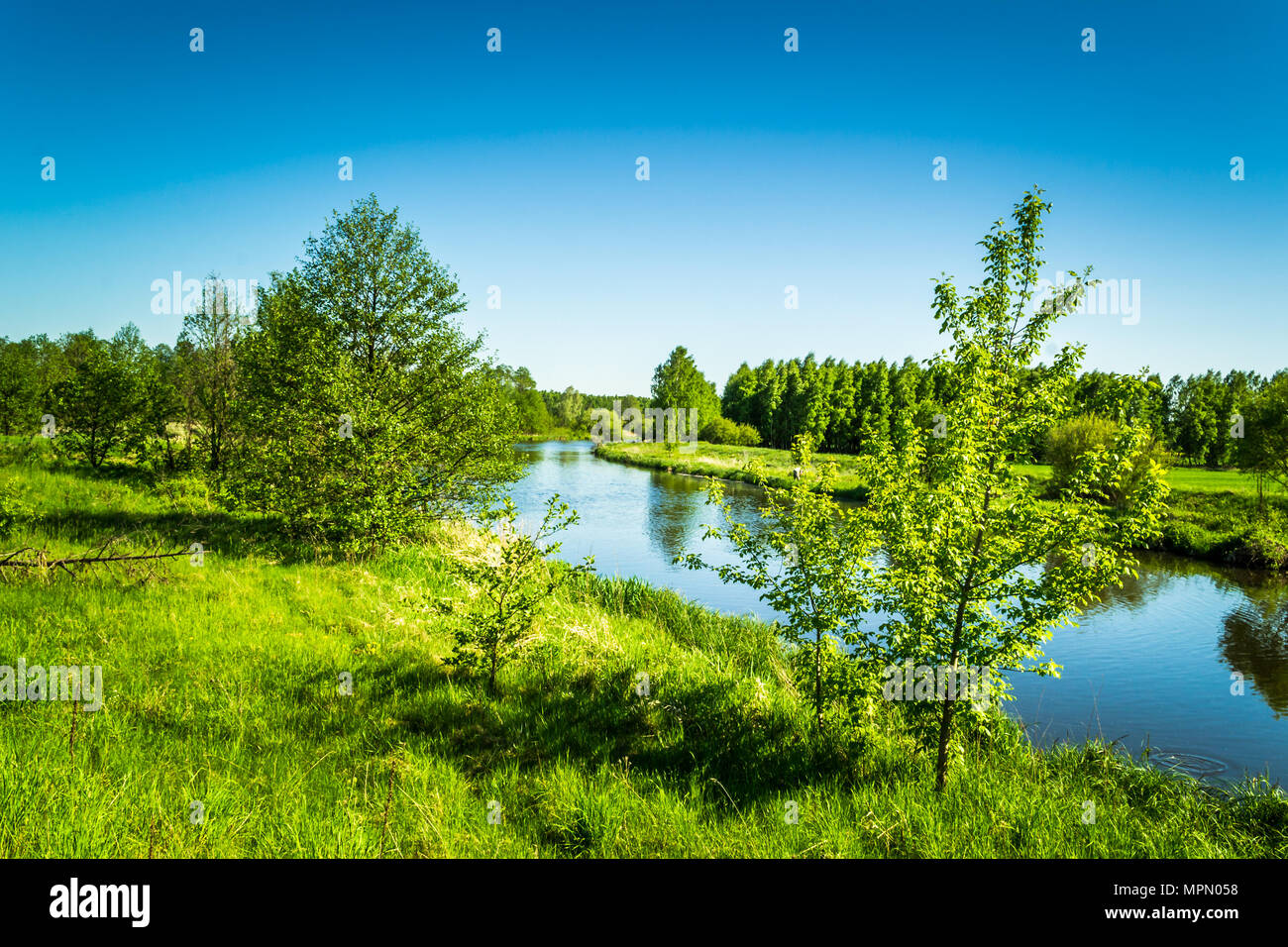 River in the spring sun Stock Photo - Alamy