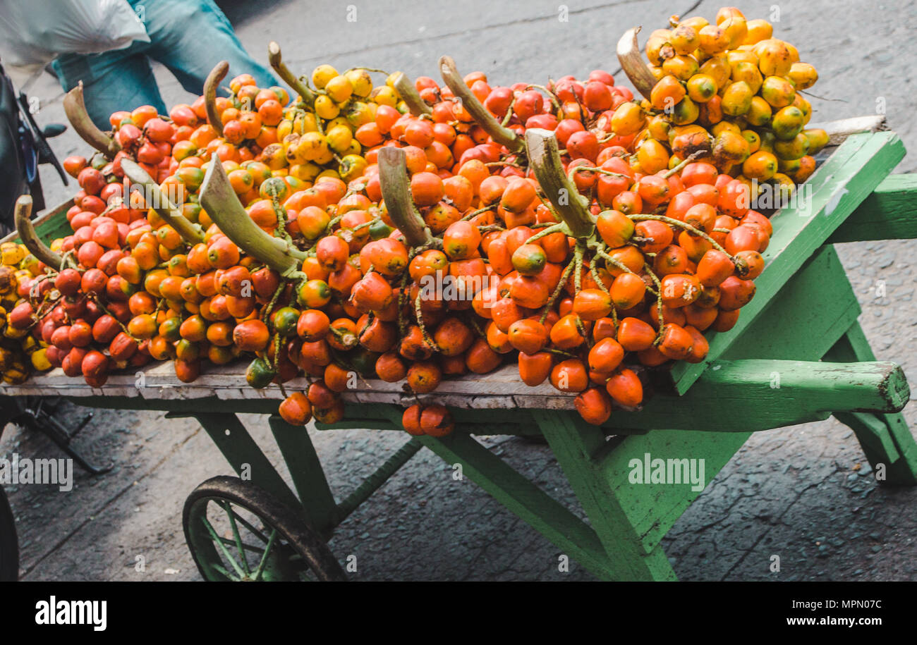 Chunda dura hi-res stock photography and images - Alamy
