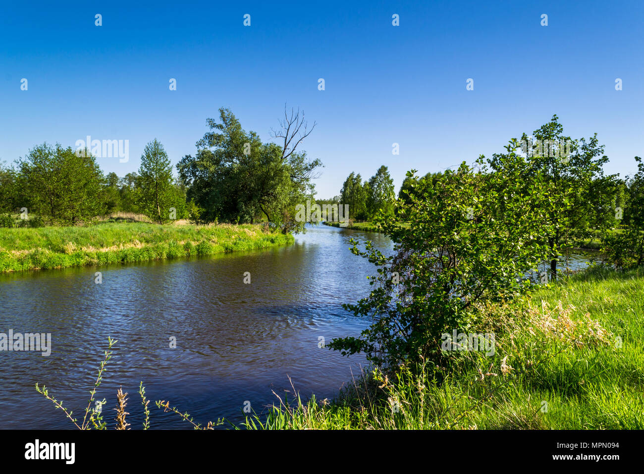 River in the spring sun Stock Photo - Alamy