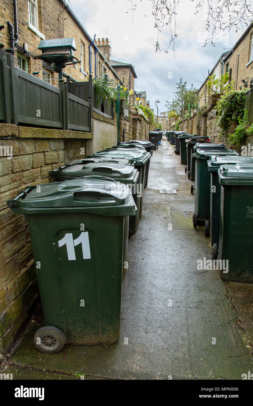 Rows of green wheelie bins line the alleyways between terrace houses in ...