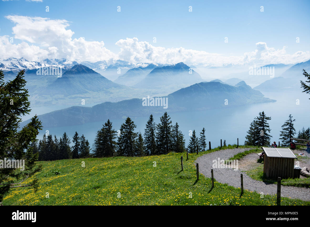 View from mount rigi of lake lucerne, the local flora and surrounding ...