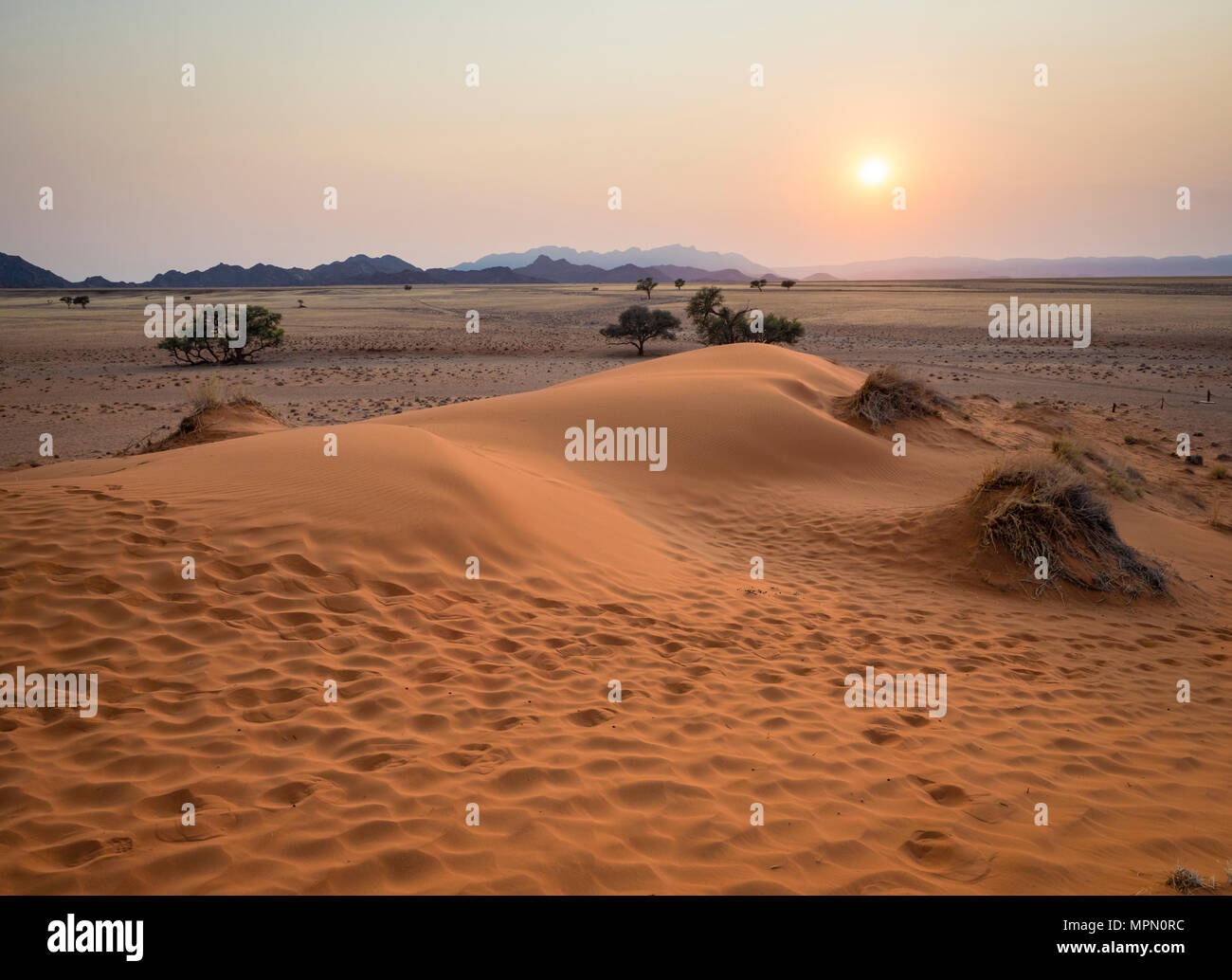 Elim dune hi-res stock photography and images - Alamy