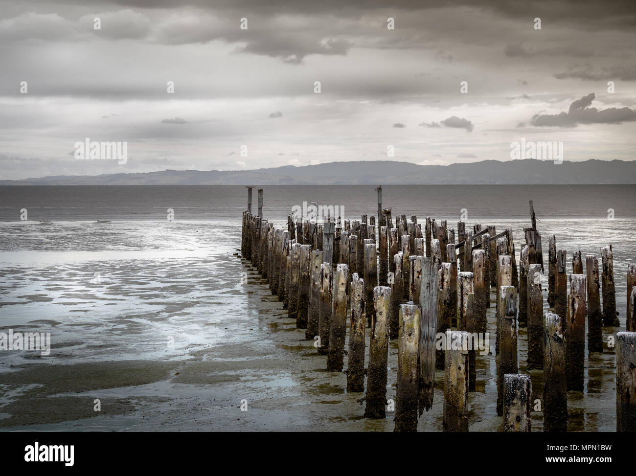 Firth of thames hi-res stock photography and images - Alamy